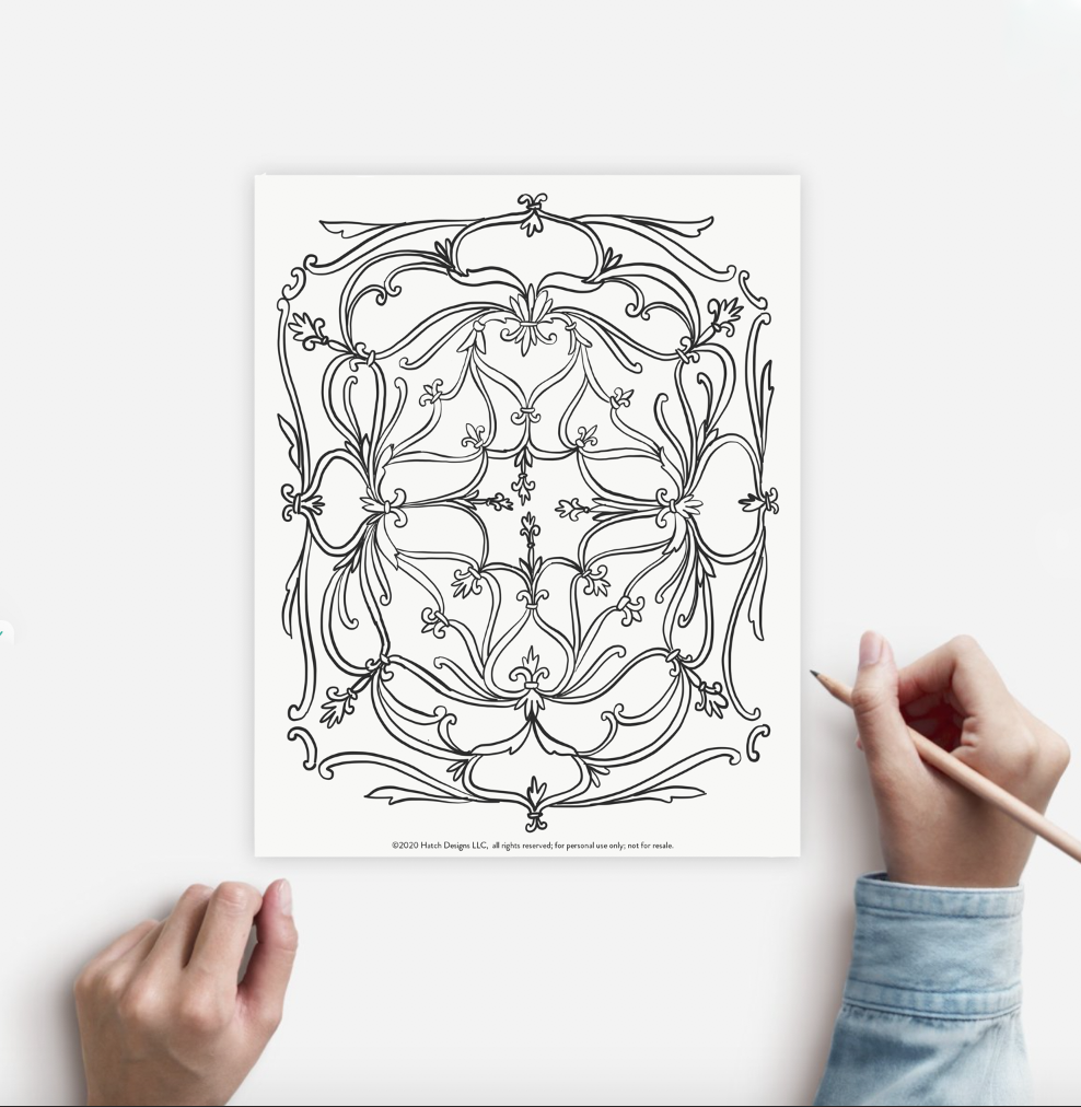 Coloring Page SCROLL Instant Download | Molly Hatch